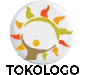 SSEG Online Application Portal